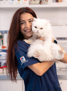 Blue Oasis Vet | Trusted Veterinary Care in Dubai